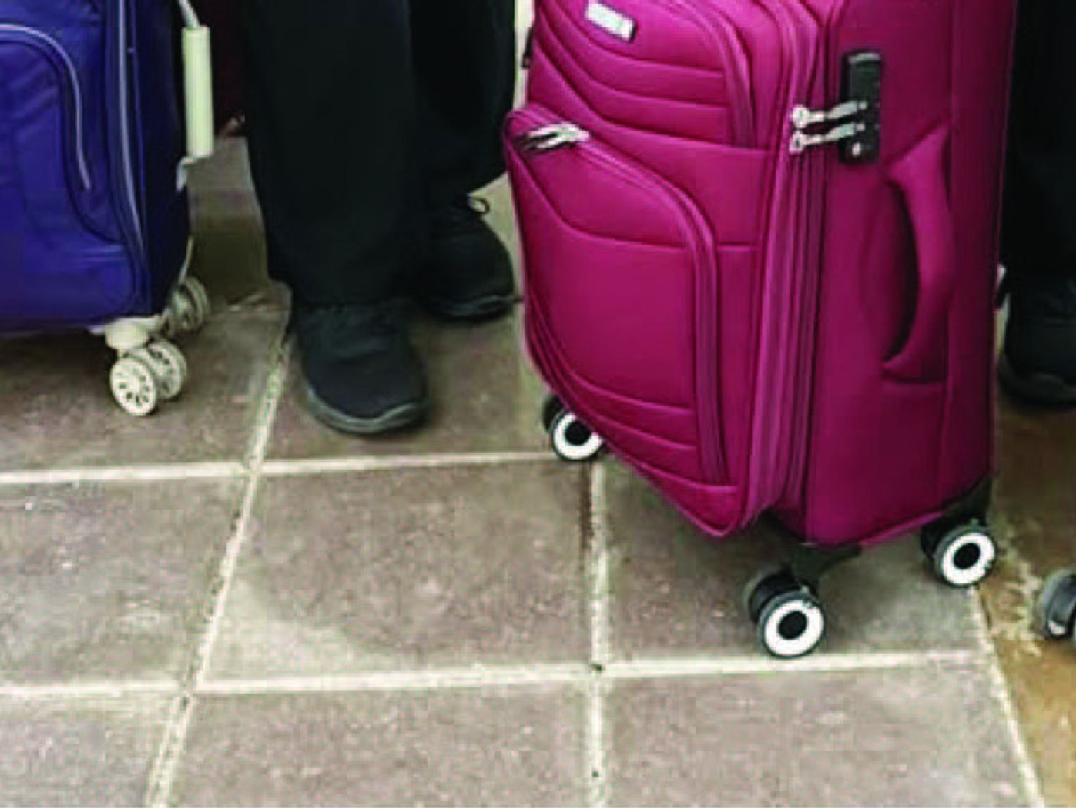 There’s More to See!